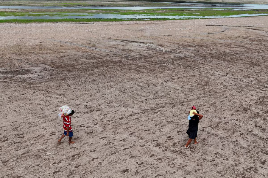 @froggyanna found Mary’s advertisement popped out and chose